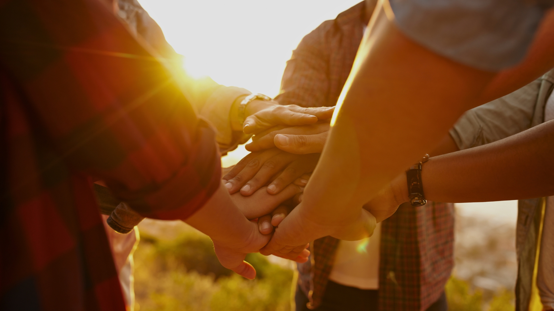 Qatar Charity’s Tayf: Leading Collecting and Distributing Donation